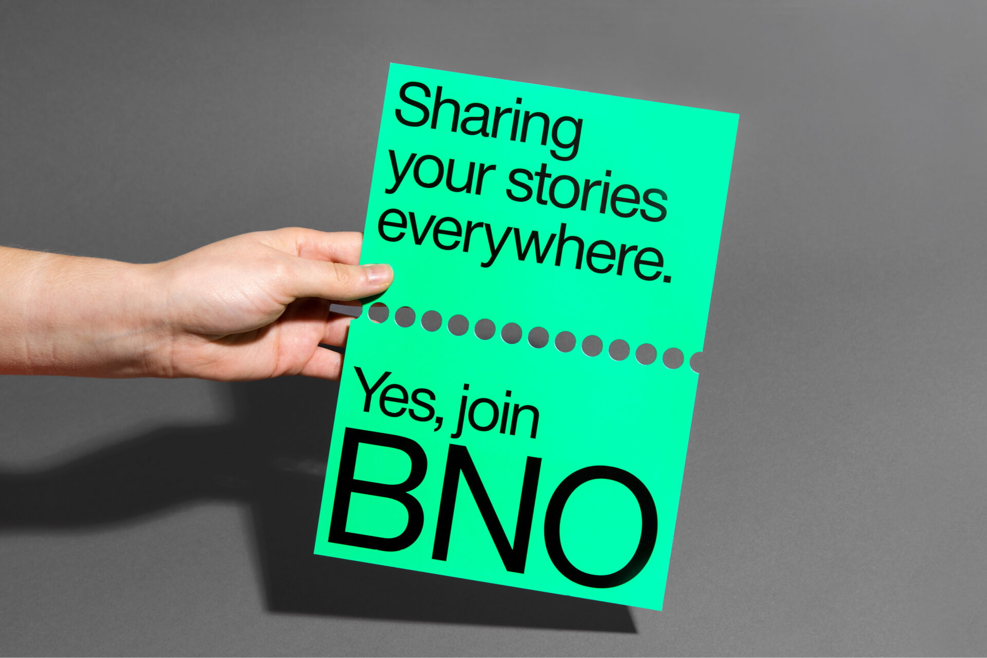 BNO - studio de Ronners