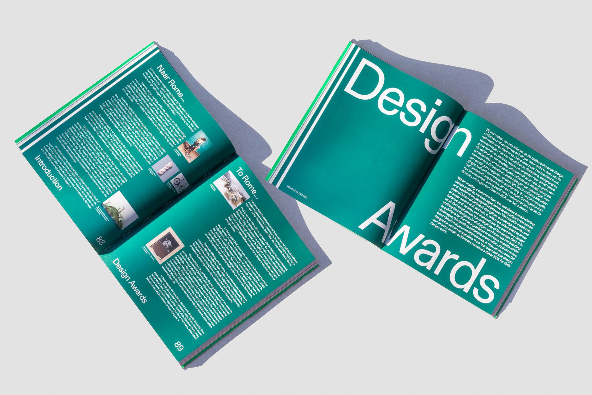 Dd Magazine 3 & Dd Yearbook '23-'24 - studio de Ronners