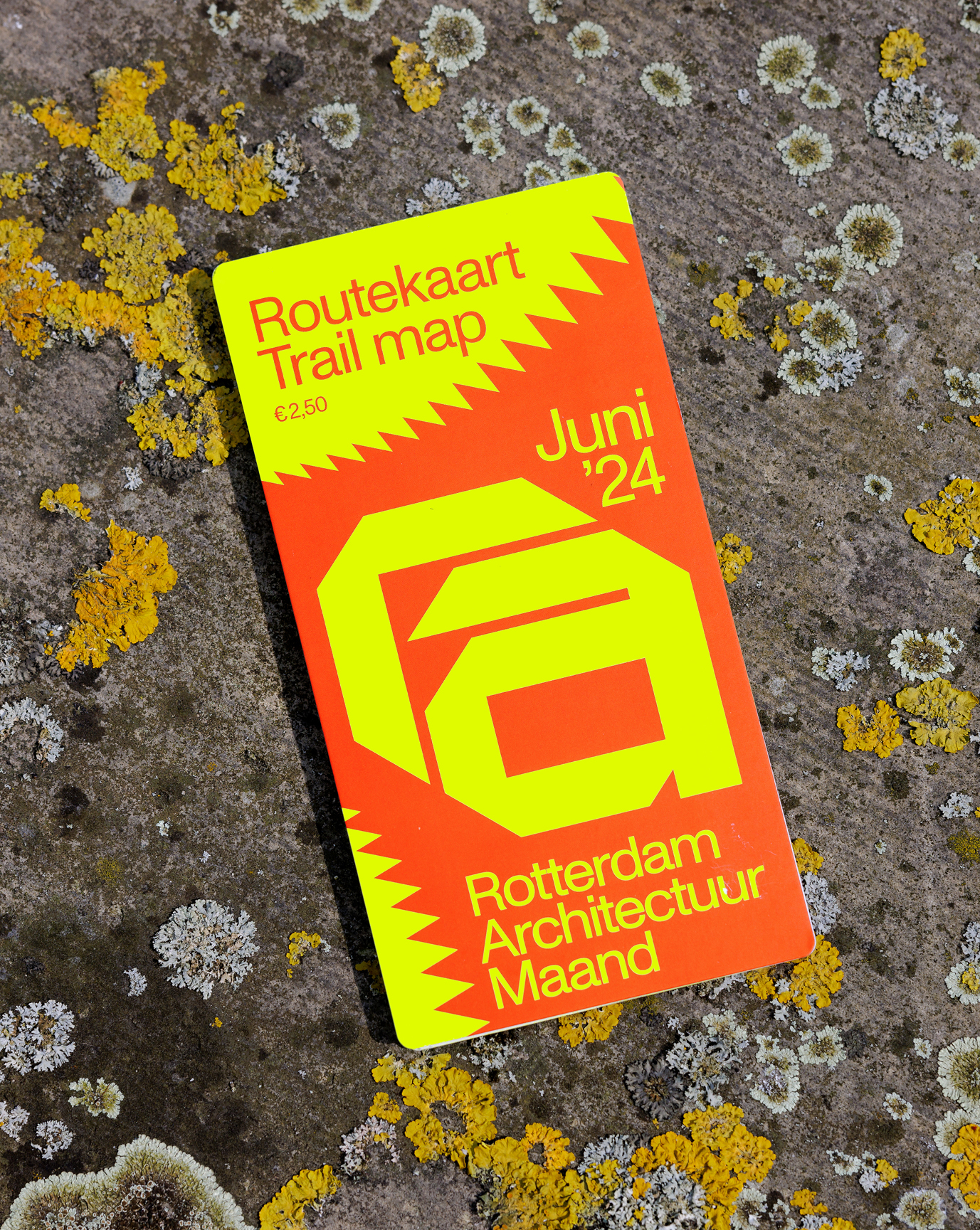 Rotterdam Architectuur Maand ’24 - studio de Ronners